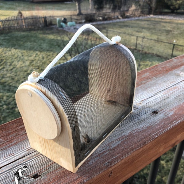Bug Box - Etsy