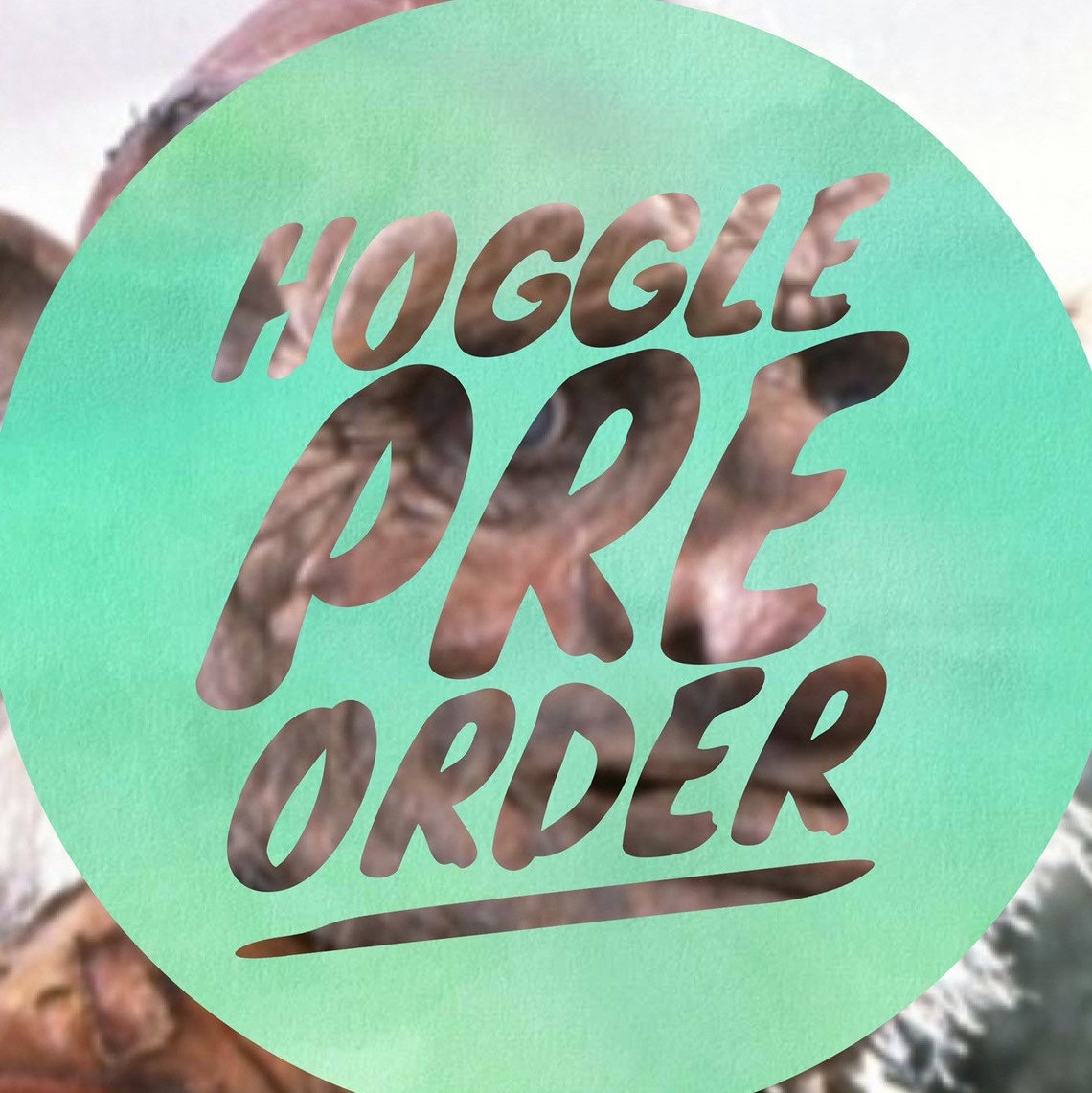 Hoggle Labyrinth Character pre Order Felted - Etsy