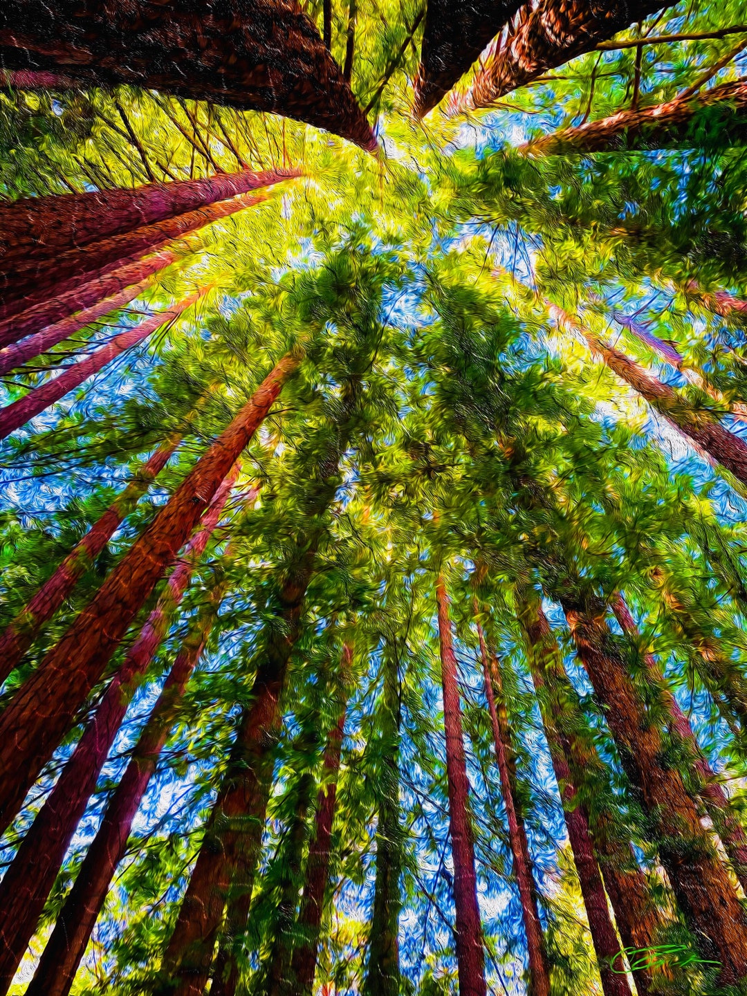 Big Sur, Redwoods Abstract, Large Tree Art, Extra Large Wall Art ...