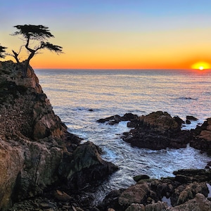 Seascape,rustic Decor,monterey Lone Cypress, Seascape,coastal ...