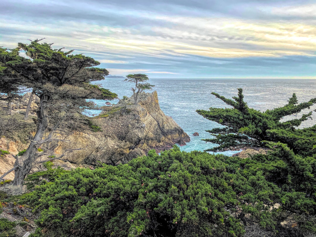 Seascape,rustic Decor,monterey Seascape,coastal Photography,large Wall ...