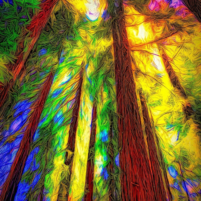 Redwood Painting - Etsy