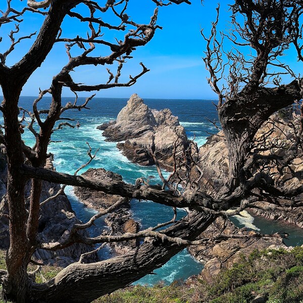 Pinnacles Panorama Art - Etsy