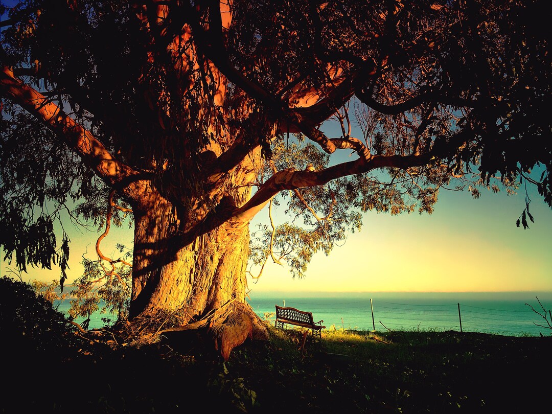 Opal Cliff Sunset Photo Canvas: Santa Cruz Seascape Wall Decor - Etsy