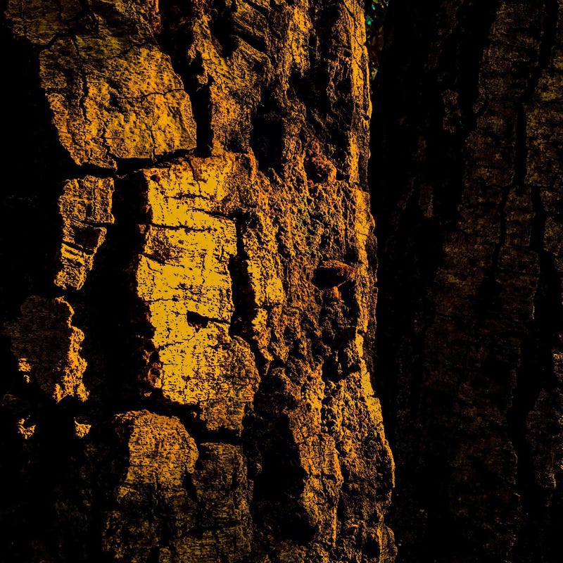 ChillWorldArt - Etsy