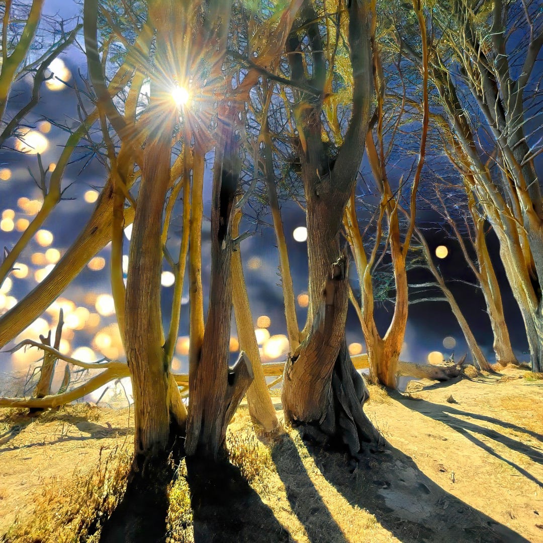 Cypress,twisted Tree,landscape Photo Art,tree Wall Décor,large ...