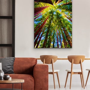 Big Sur, Redwoods Abstract, Large Tree Art, Extra Large Wall Art ...