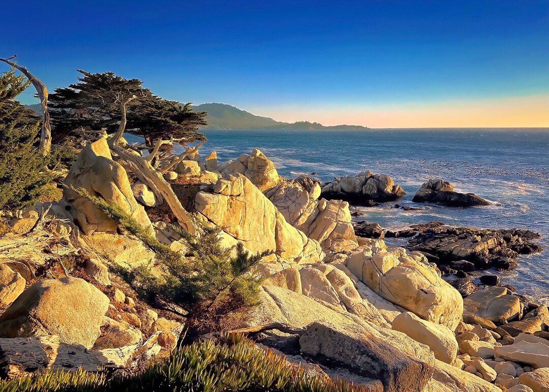Ghost Trees,carmel,seascape,large Wall Art,california Art,california ...