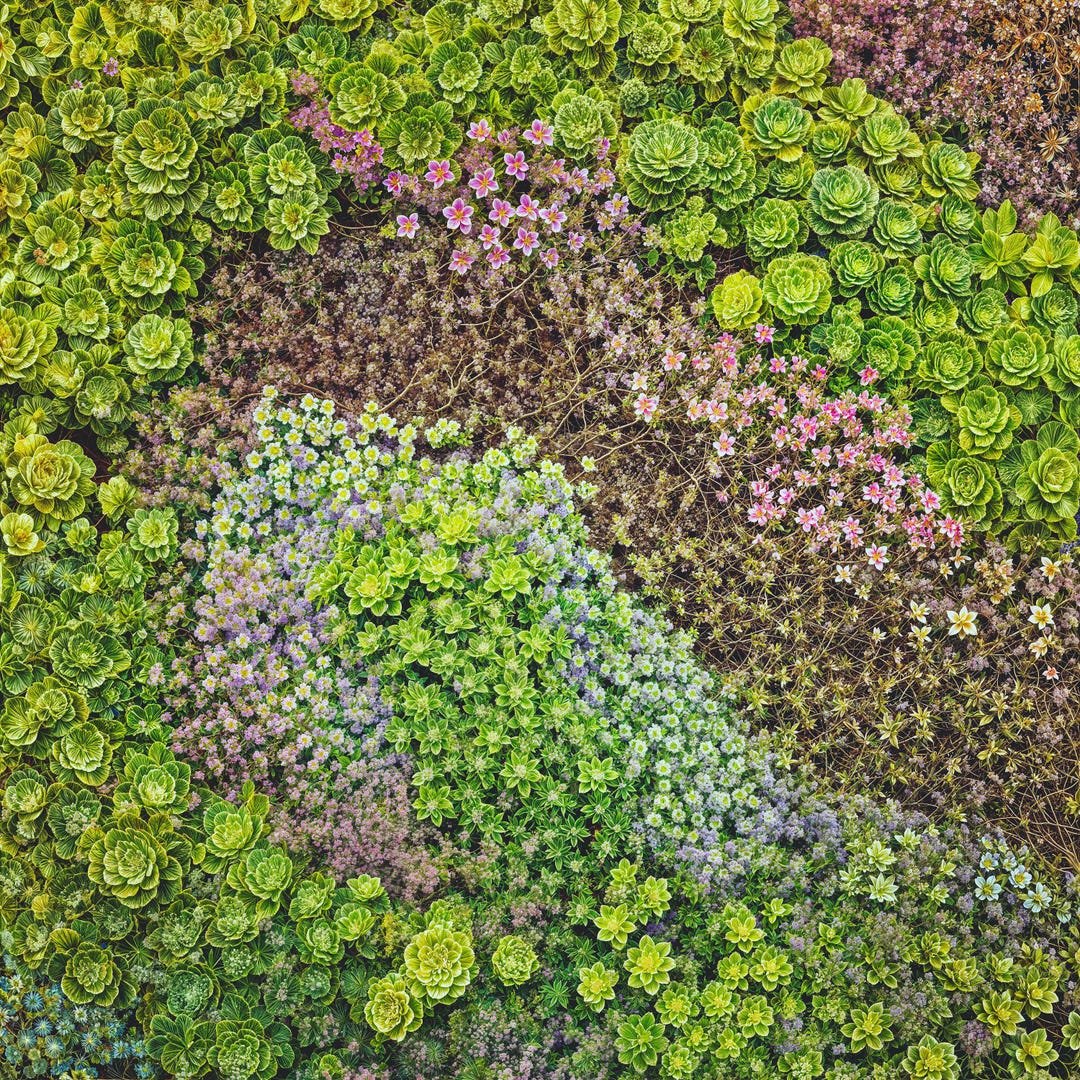 Vertical Succulent Garden Wall Art: Canvas or Metal Print - Etsy