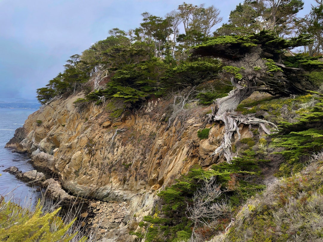 Seascape,point Lobos,monterey Seascape,coastal Photography,large Wall ...