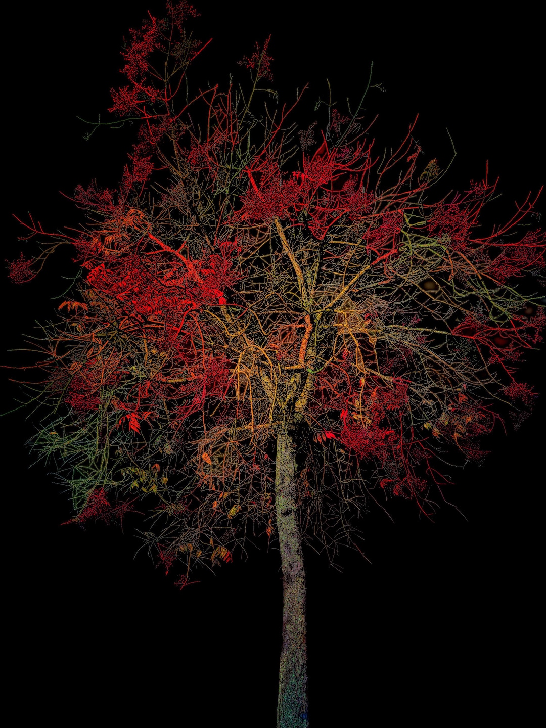 Metal Wall Art, Red Tree, Tree of Life,stained Glass Tree,stained Glass ...