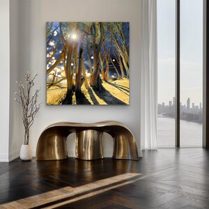 Cypress,twisted Tree,landscape Photo Art,tree Wall Décor,large ...