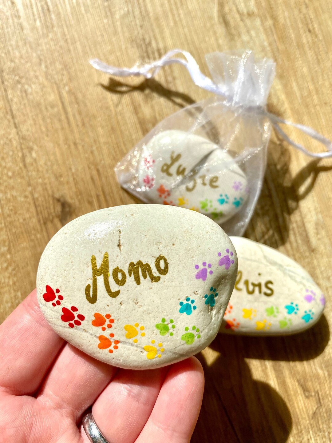 Stone Pet Paw Memorial Stones Dog Cat Rainbow - Etsy