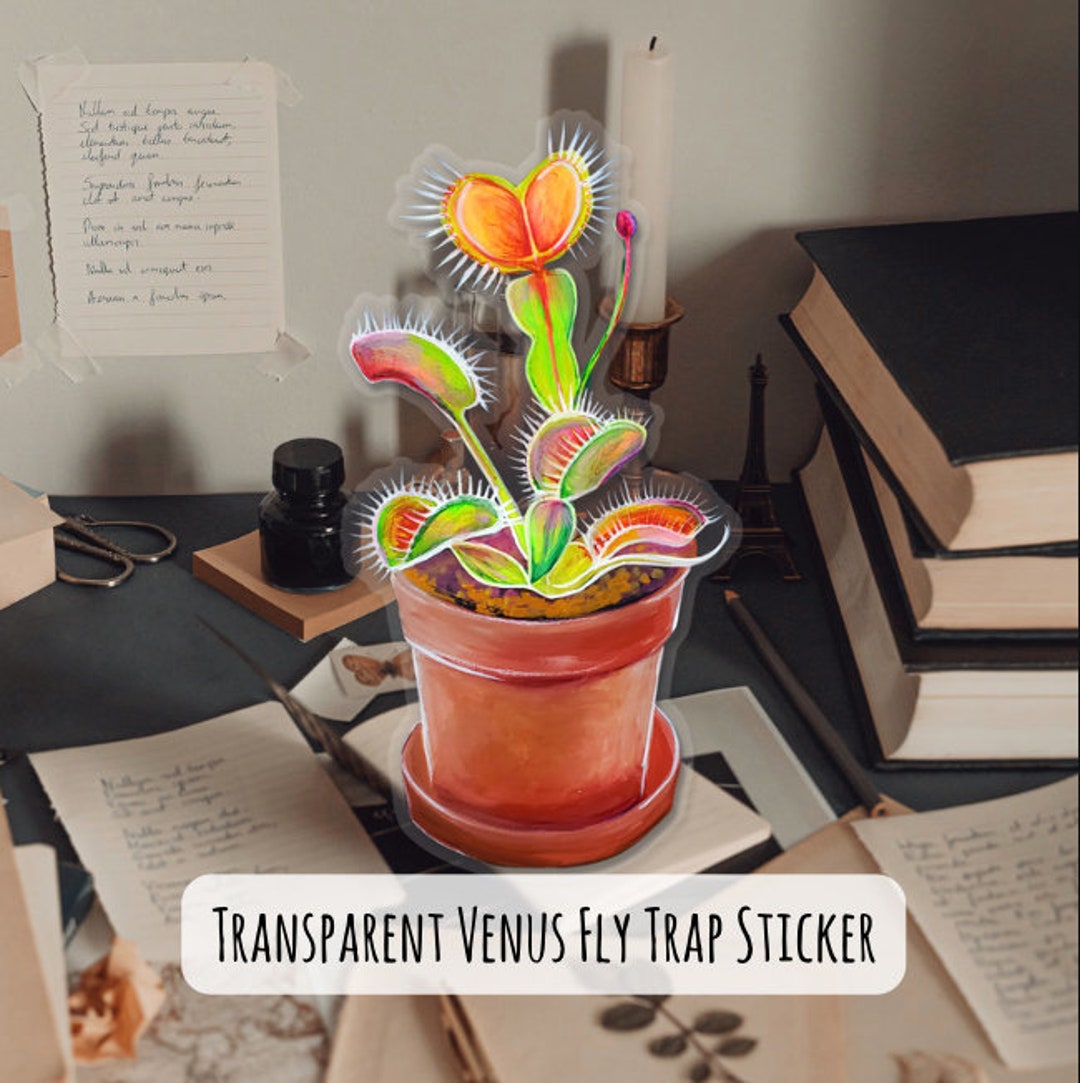 Venus Flytrap Sticker: Transparent Waterproof Vinyl, Gothic Witchy Art - Etsy