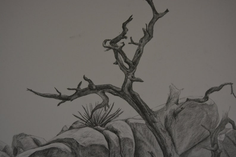 Original landscape drawing desert tree nature art | Etsy
