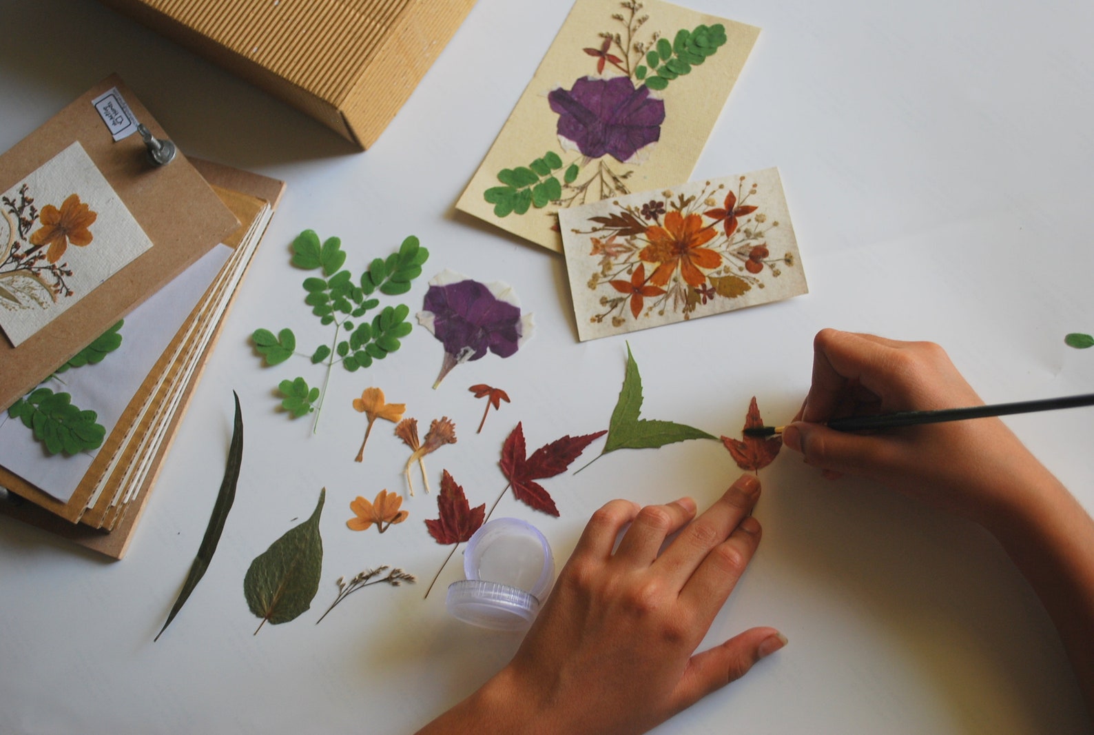 Dried Press Flower DIY Kit, Craft Kit, Starter DIY, Beginners to ...