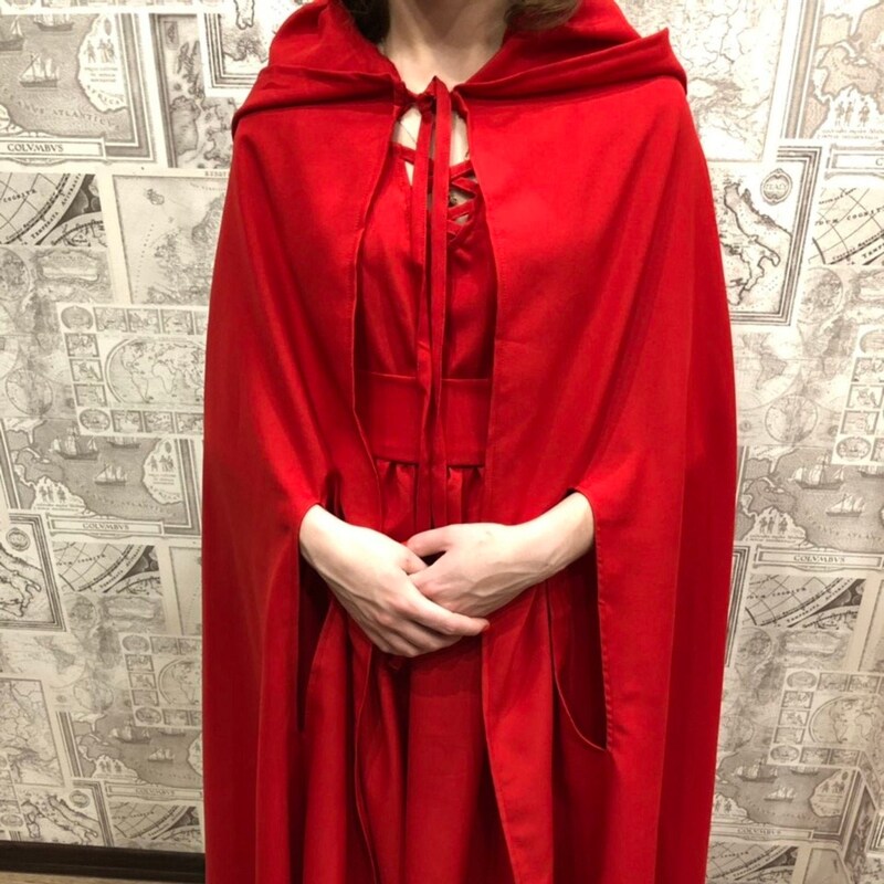 Handmaids Tales Costume - Etsy
