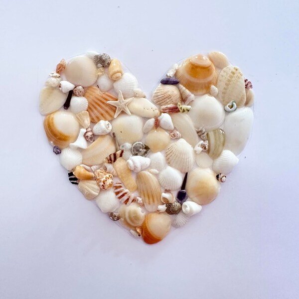 Seashell Heart - Etsy UK