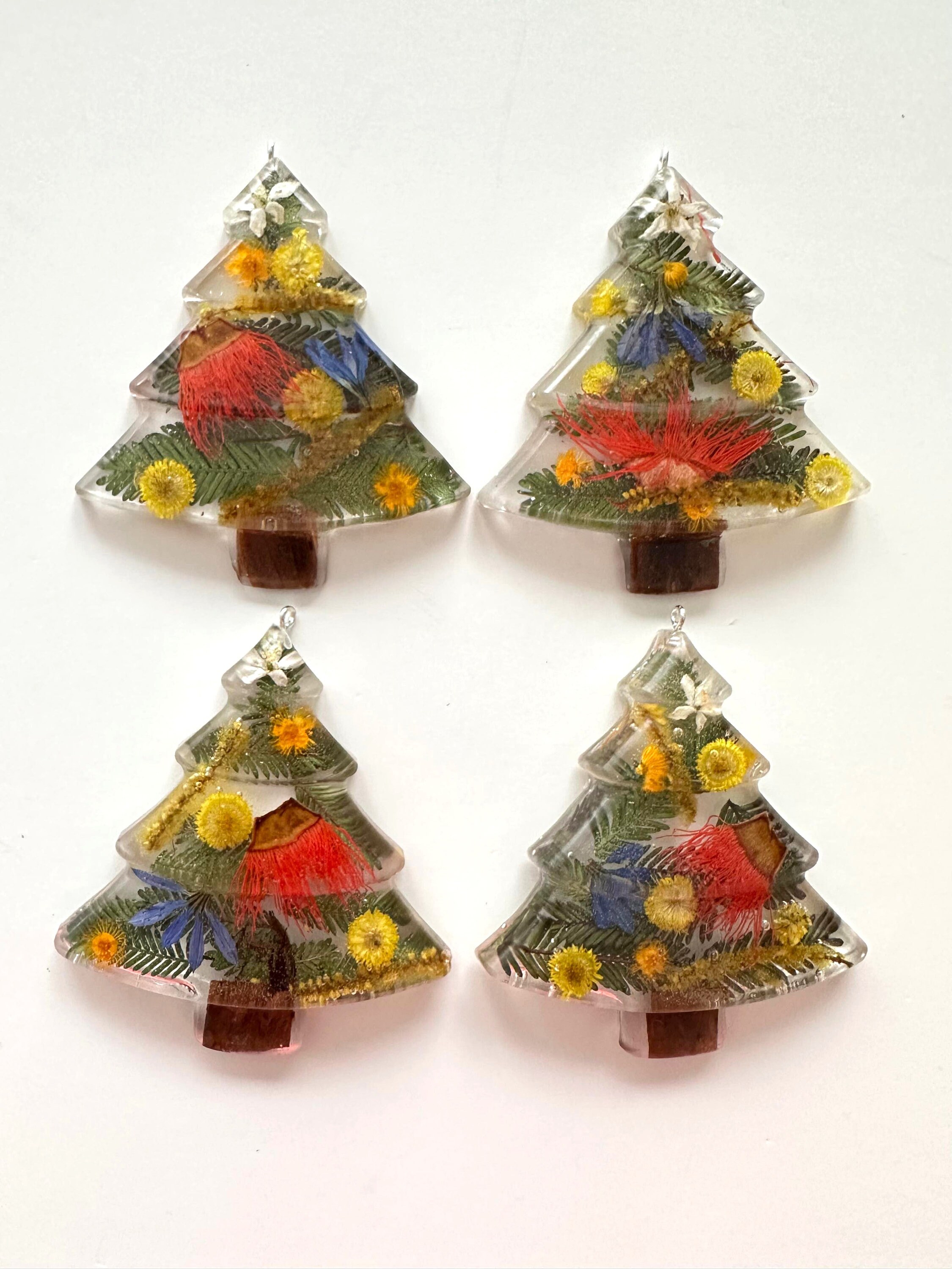 CHRISTMAS BUSH TREE - Australian, Natives, Christmas, Decoration, Tree ...