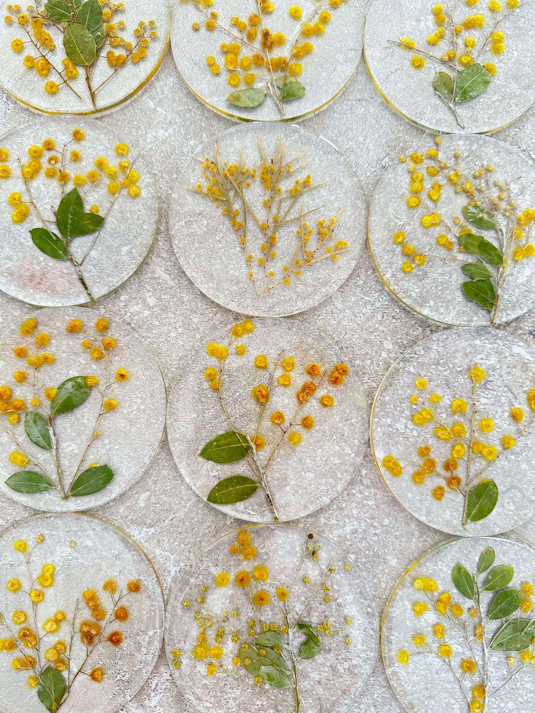 COASTERS From the Australian Bush - WATTLE - Heat Resistant Drink ...