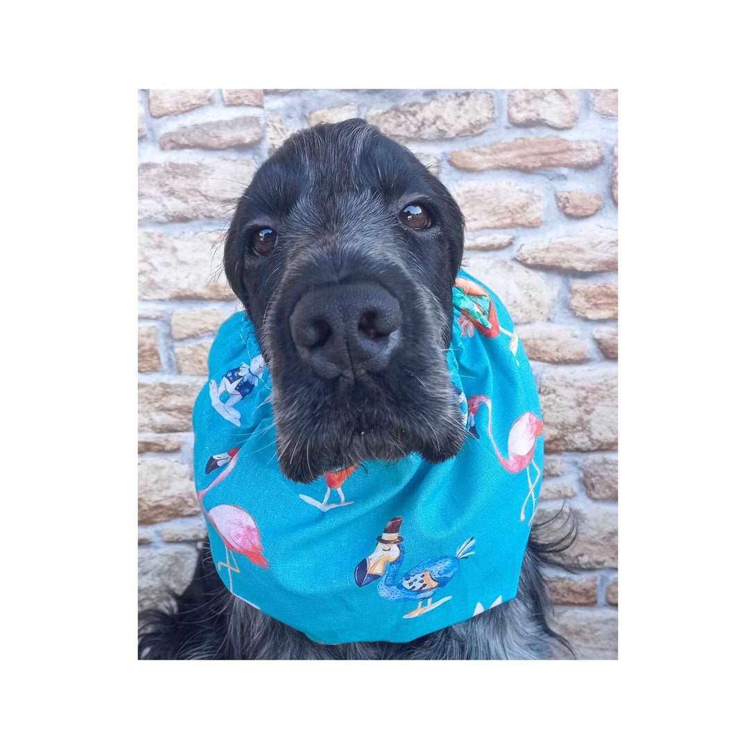 Snood for Cocker Spaniel Made in Cotton Fabric,dog Ears Cover, Thin ...