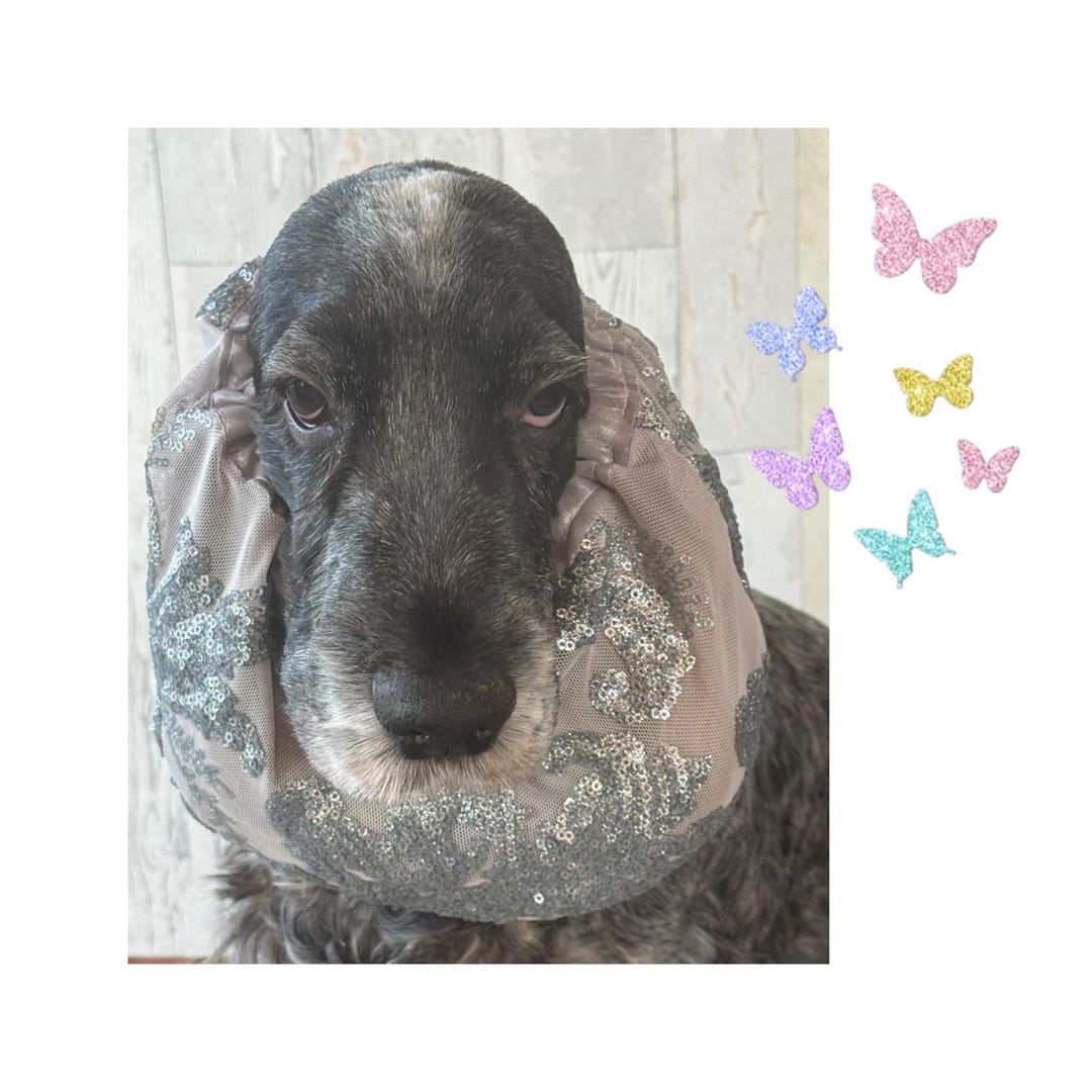 Silver Grey Snood for Cocker Spaniel, Snood for Show Dogs, Breathable ...