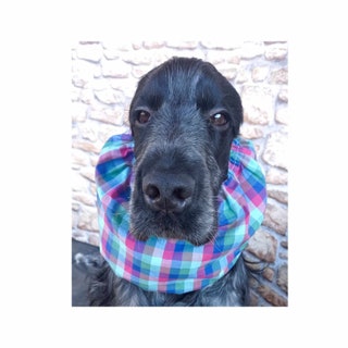 Baubababoutique - Etsy