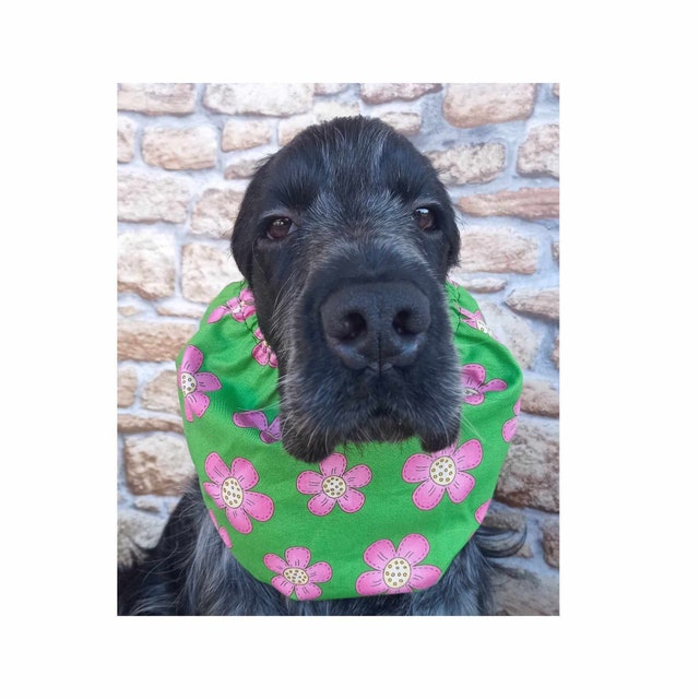 Baubababoutique - Etsy