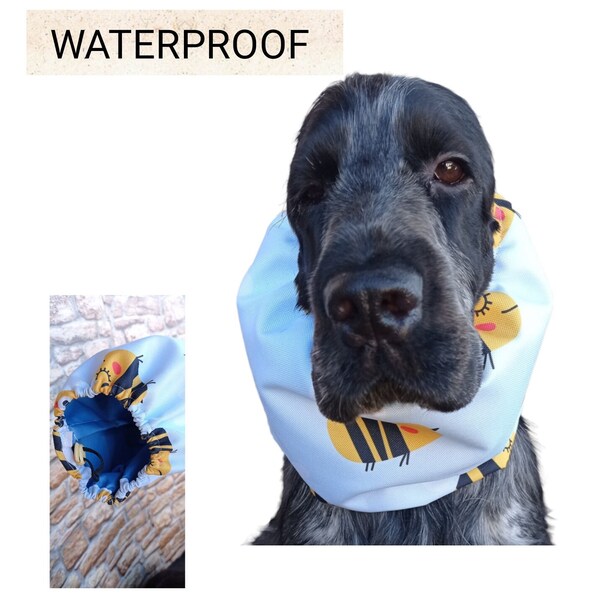 Swimming Cap for Dog - Etsy