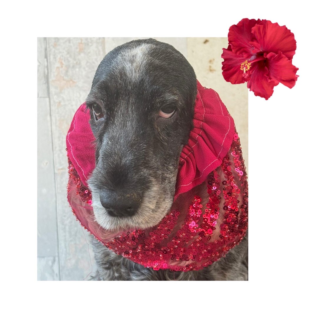 Red Thin Snood for Dogs, Summer Hat for Dogs, Afghan Hound Lace Snood ...
