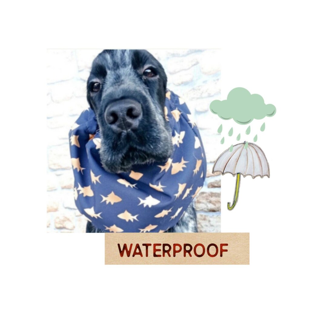 Waterproof Dog Snood, Swimming Cap for Dogs, Rainproof Cocker Snood ...