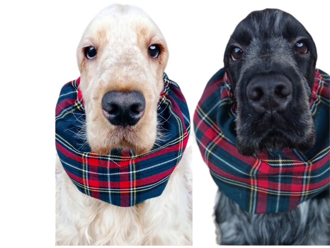 Traditional English Tartan Dog Snood, Red-green and Blue Checked Snood ...