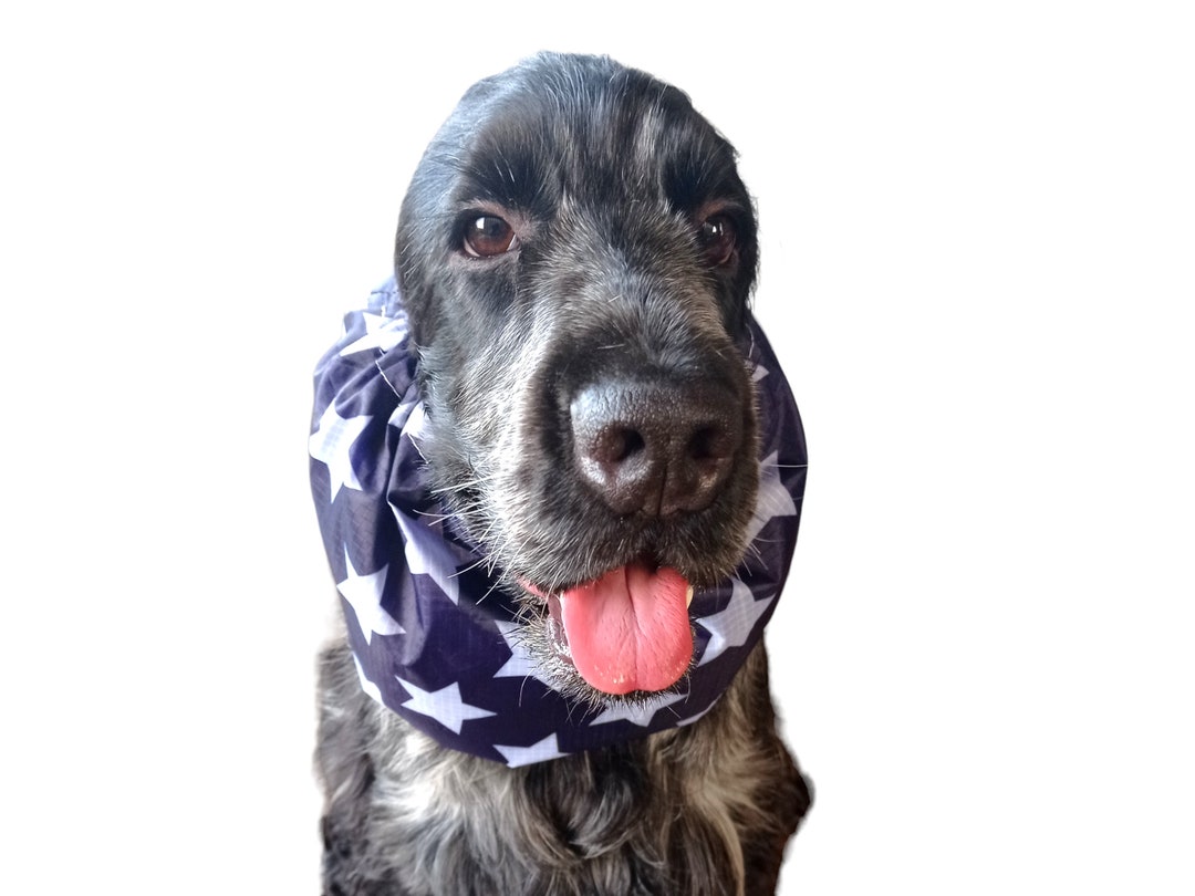 Thin Blue Waterproof Dog Snood, Rainproof Spaniel Snood, Water ...