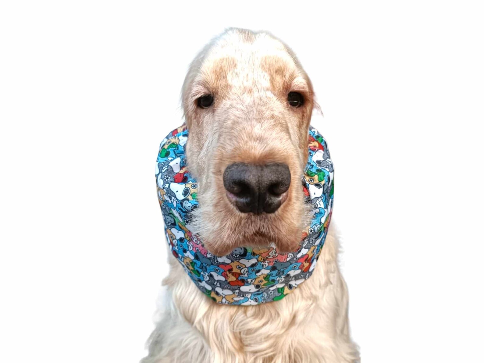 Waterproof Thick Dog Snood , Swimming Cap for Dog , Dog Hat for Snow - Etsy