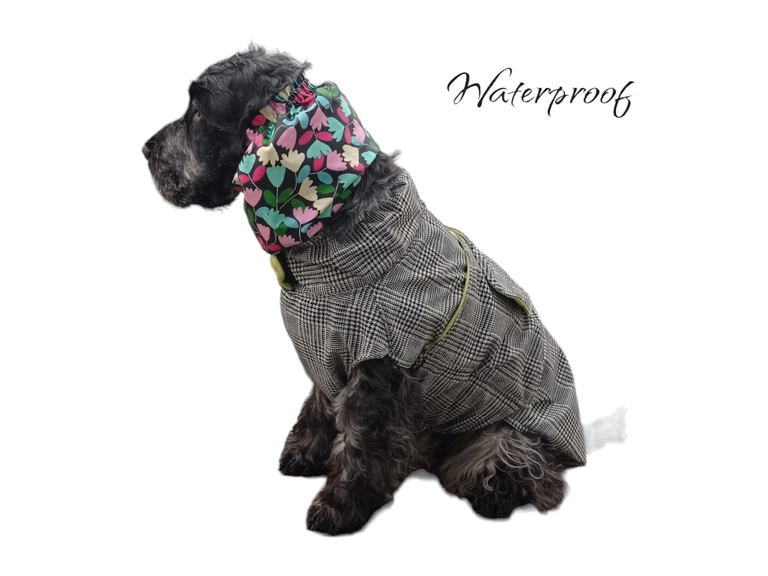 Tartan Cocker Spaniel Raincoat Covering Chest Fringes, Waterproof Dog ...