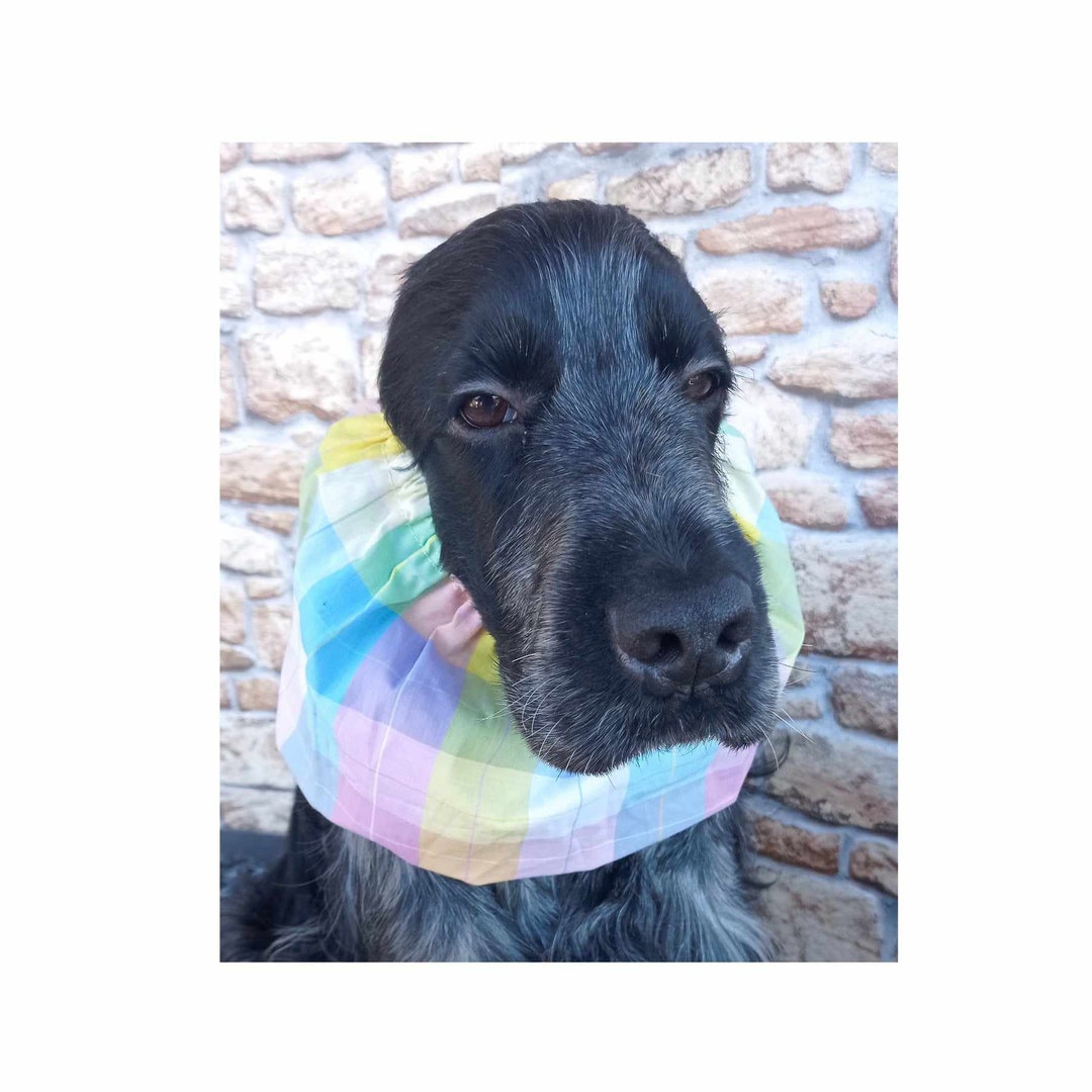 Plaid Snood for Cocker Spaniel Made in Cotton Fabric ,dog Ears Cover ...