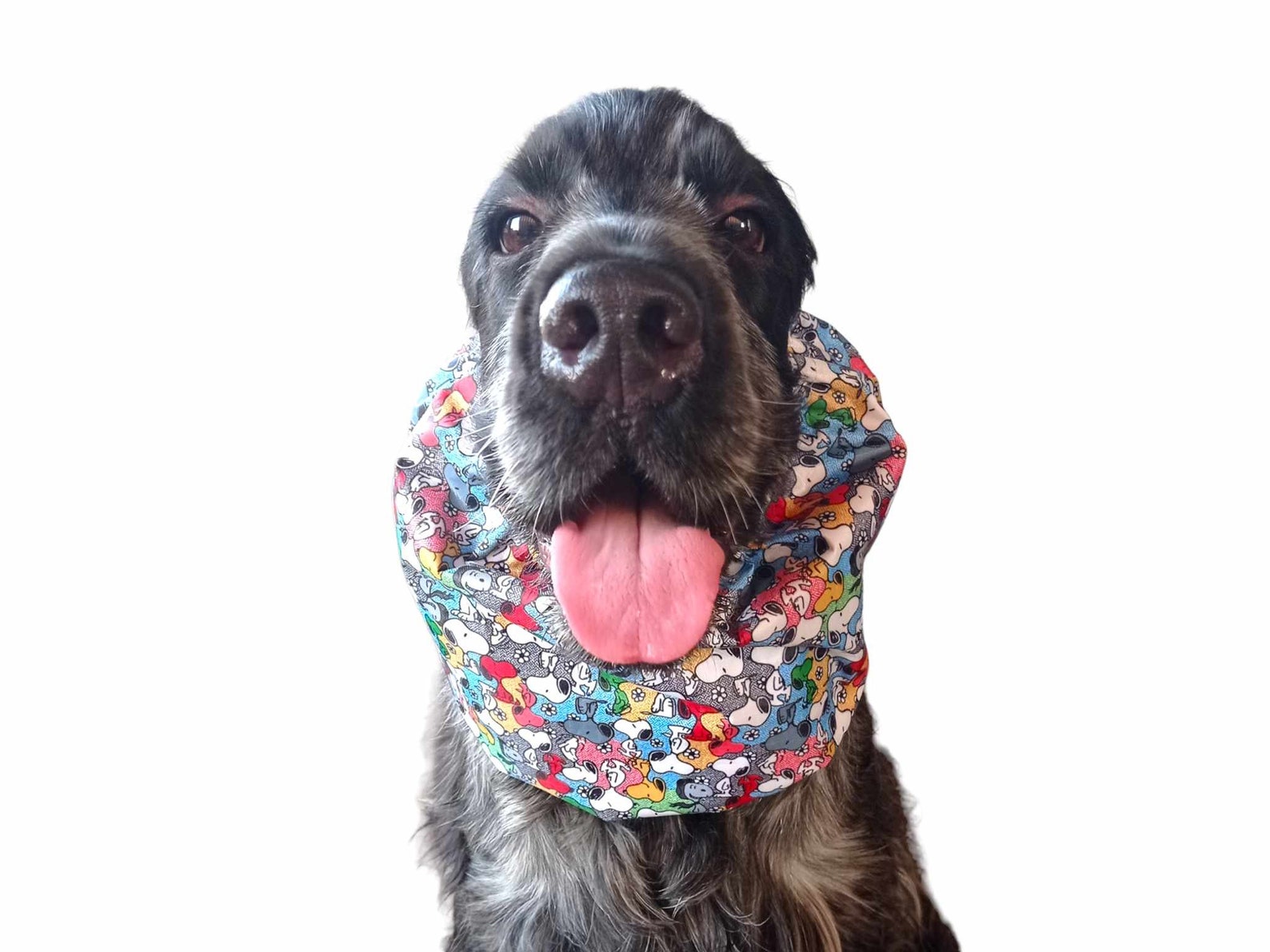 Waterproof Thick Dog Snood , Swimming Cap for Dog , Dog Hat for Snow - Etsy