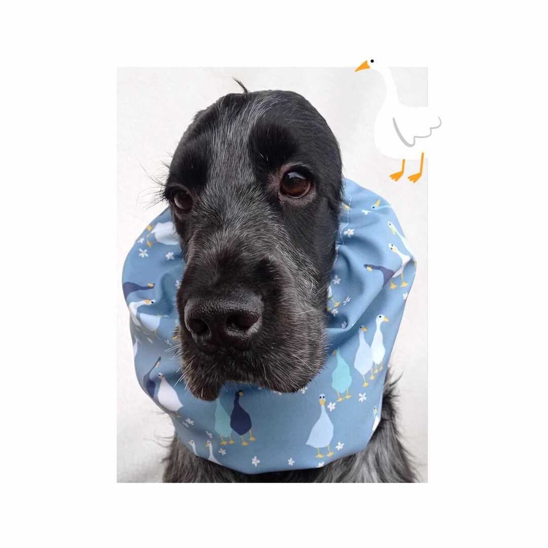 Goosies Waterproof Dog Snood Softshell Snood for Dogs Winter - Etsy