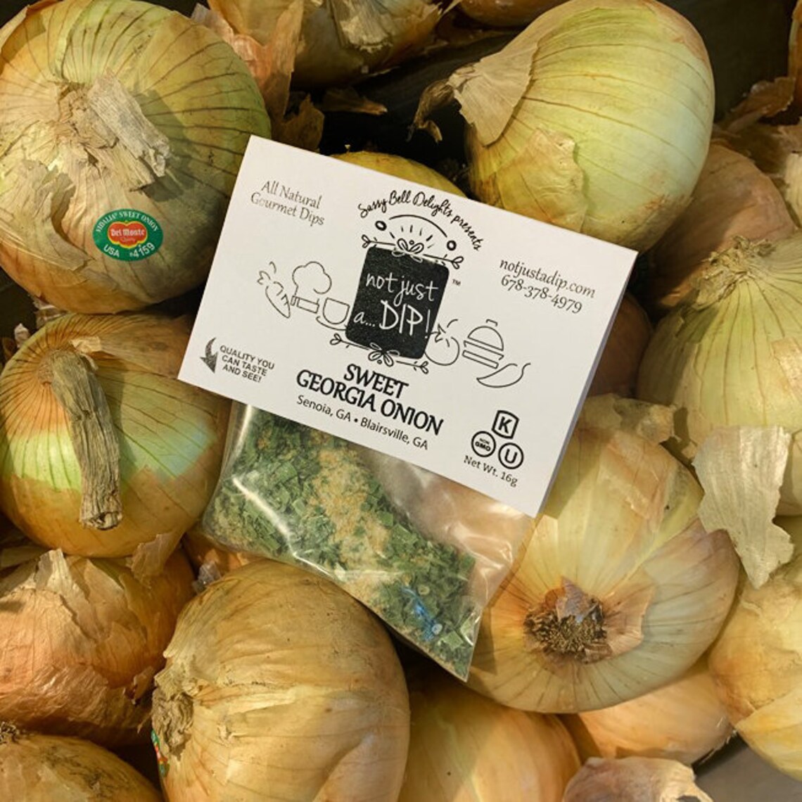 Sweet Georgia Onion Dip Mix Dry Rub Cheese Ball | Etsy