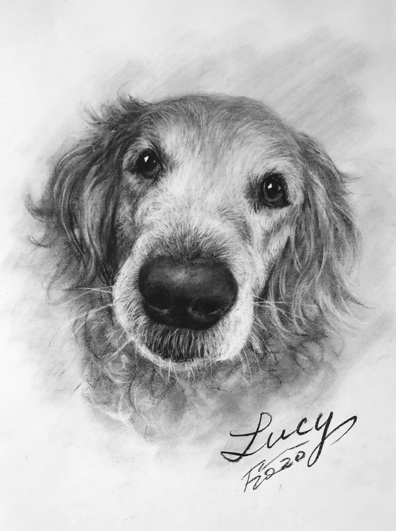 Custom Pet Portrait Charcoal Custom Dog Portrait Pet | Etsy