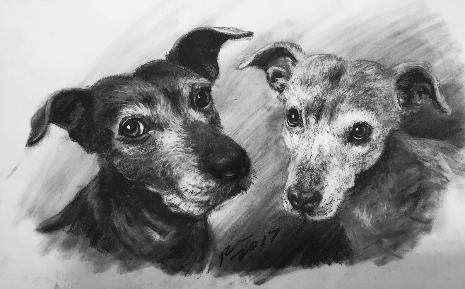 Custom Pet Portrait Charcoal Custom Dog Portrait Pet | Etsy