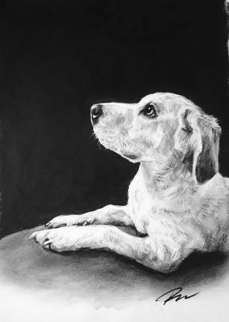 Pure Black Background for Charcoal Portrait add-on Only - Etsy