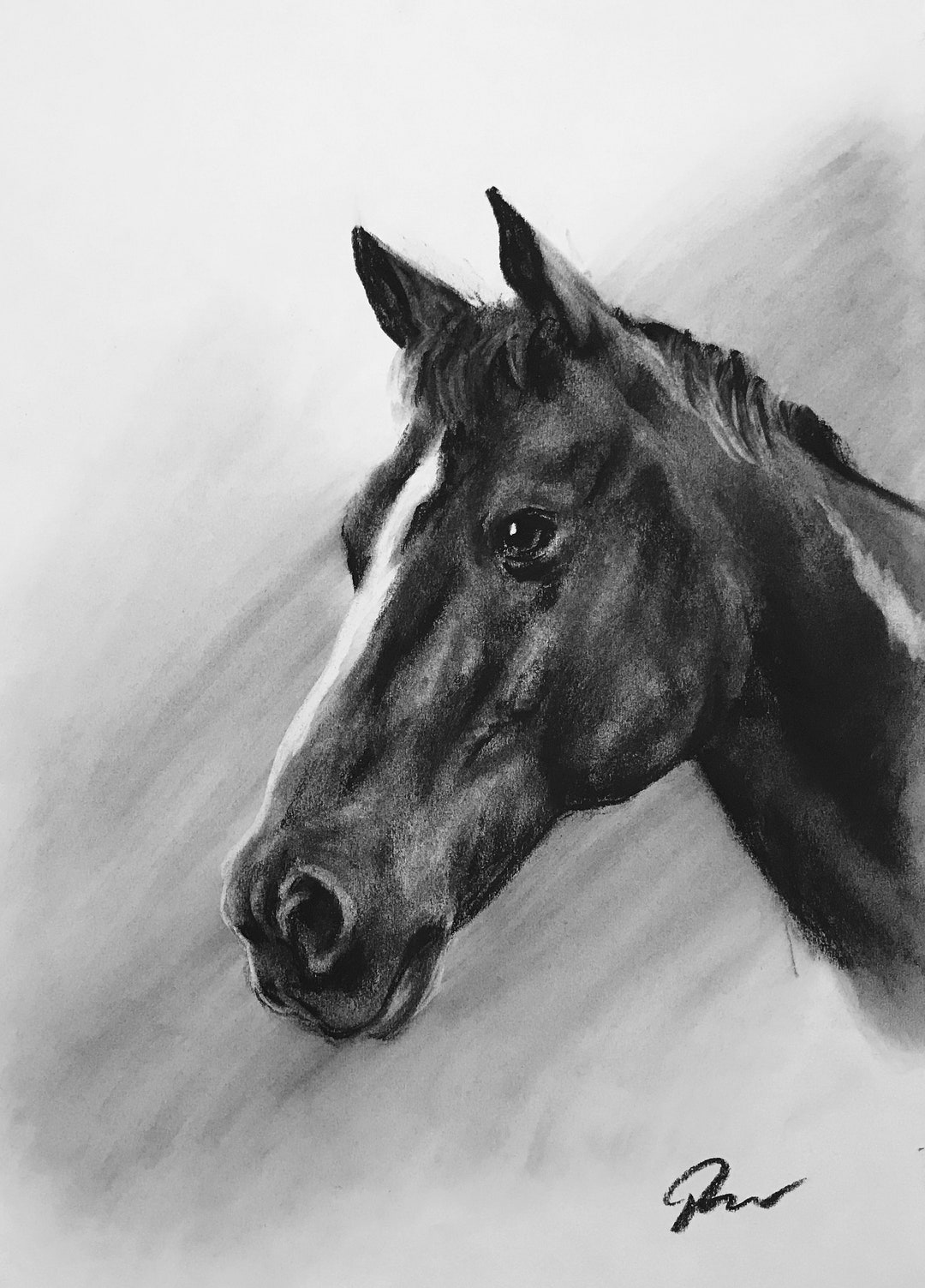 Horse Charcoal Sketch, Custom Horse Painting, Custom Horse, Horse Lover ...
