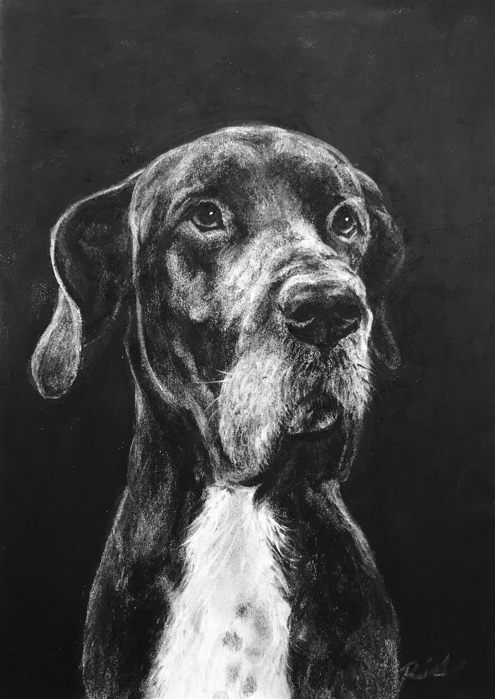Pure Black Background for Charcoal Portrait ***add-on Only*** - Etsy