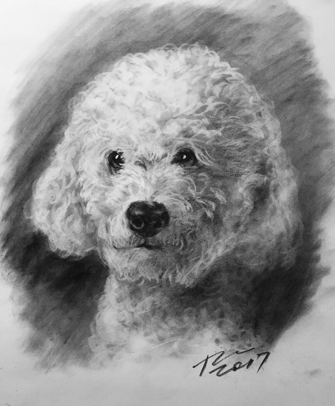 Custom Pet Portrait Charcoal Custom Dog Portrait Pet | Etsy