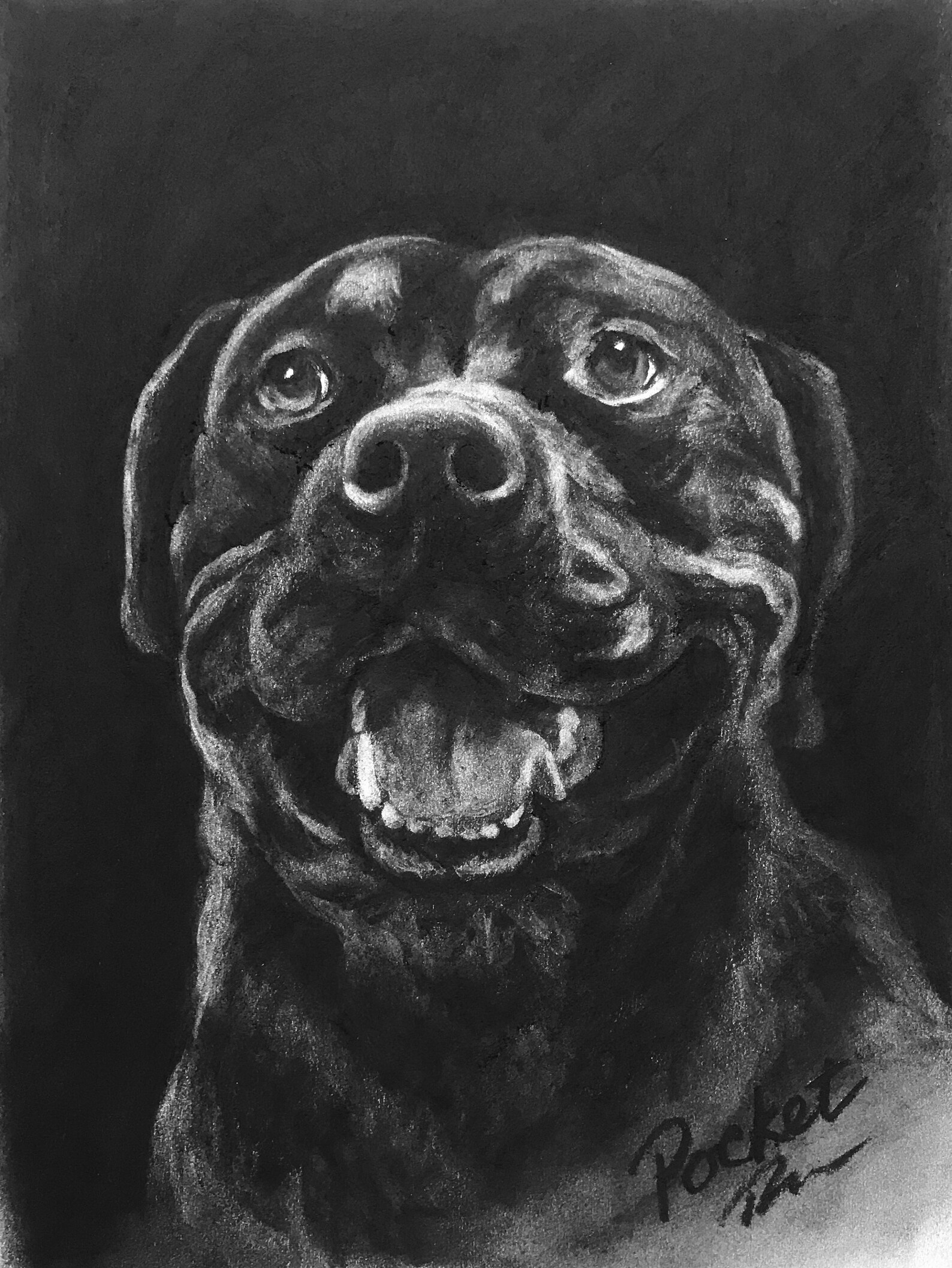 Pure Black Background for Charcoal Portrait ***add-on Only*** - Etsy