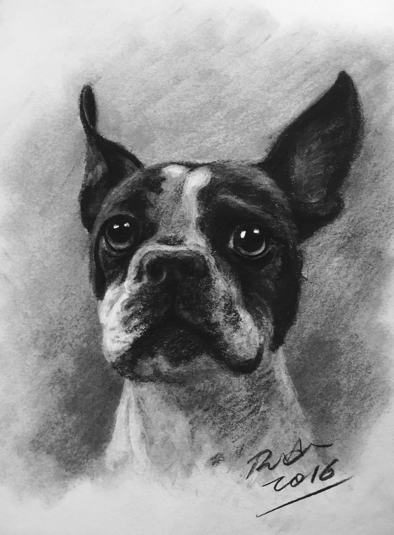 Custom Pet Portrait Charcoal Custom Dog Portrait Pet - Etsy