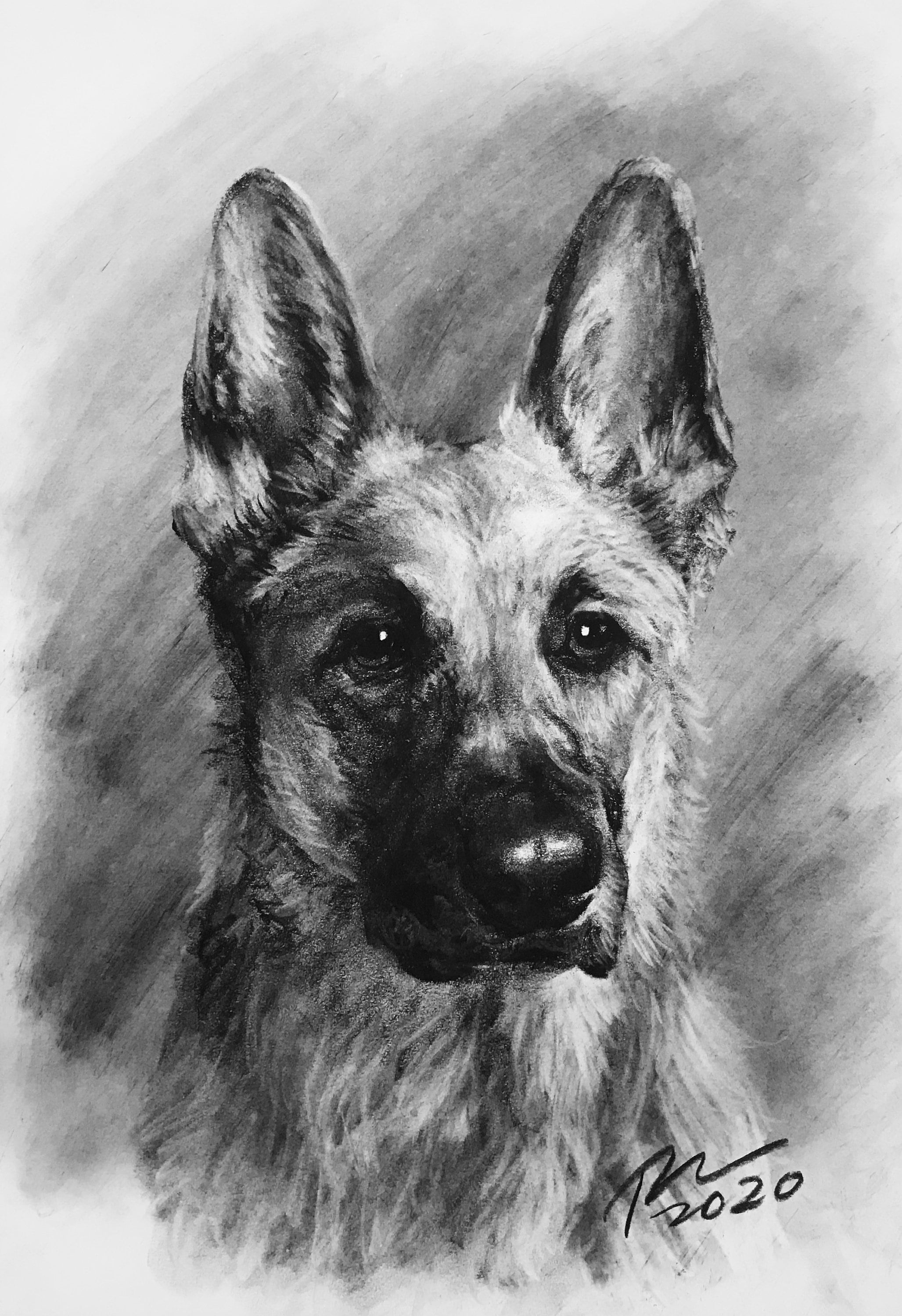 Custom Pet Portrait Charcoal/dog Charcoal Drawing/charcoal Pet Portrait ...