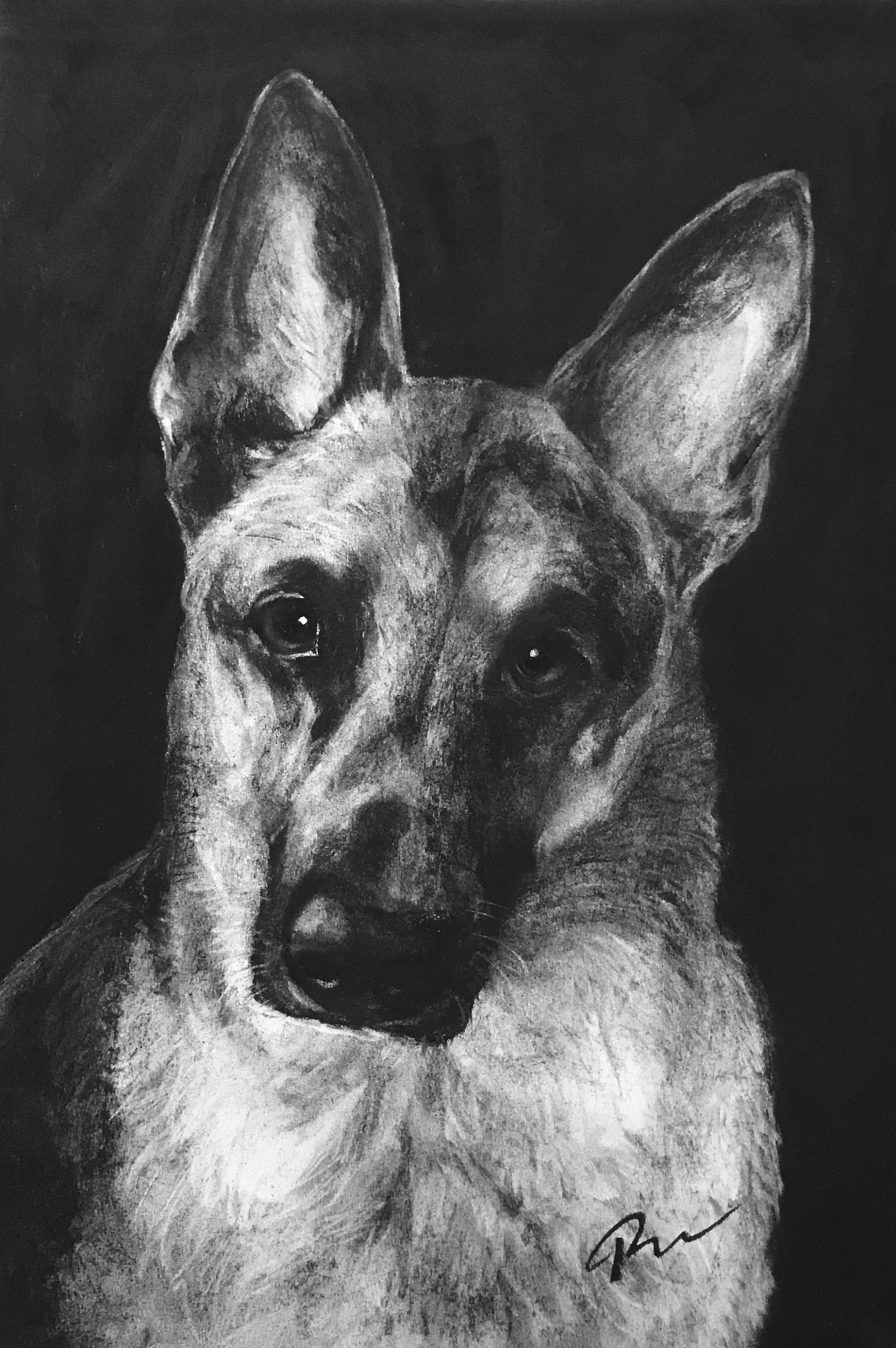 Pure Black Background for Charcoal Portrait ***add-on Only*** - Etsy