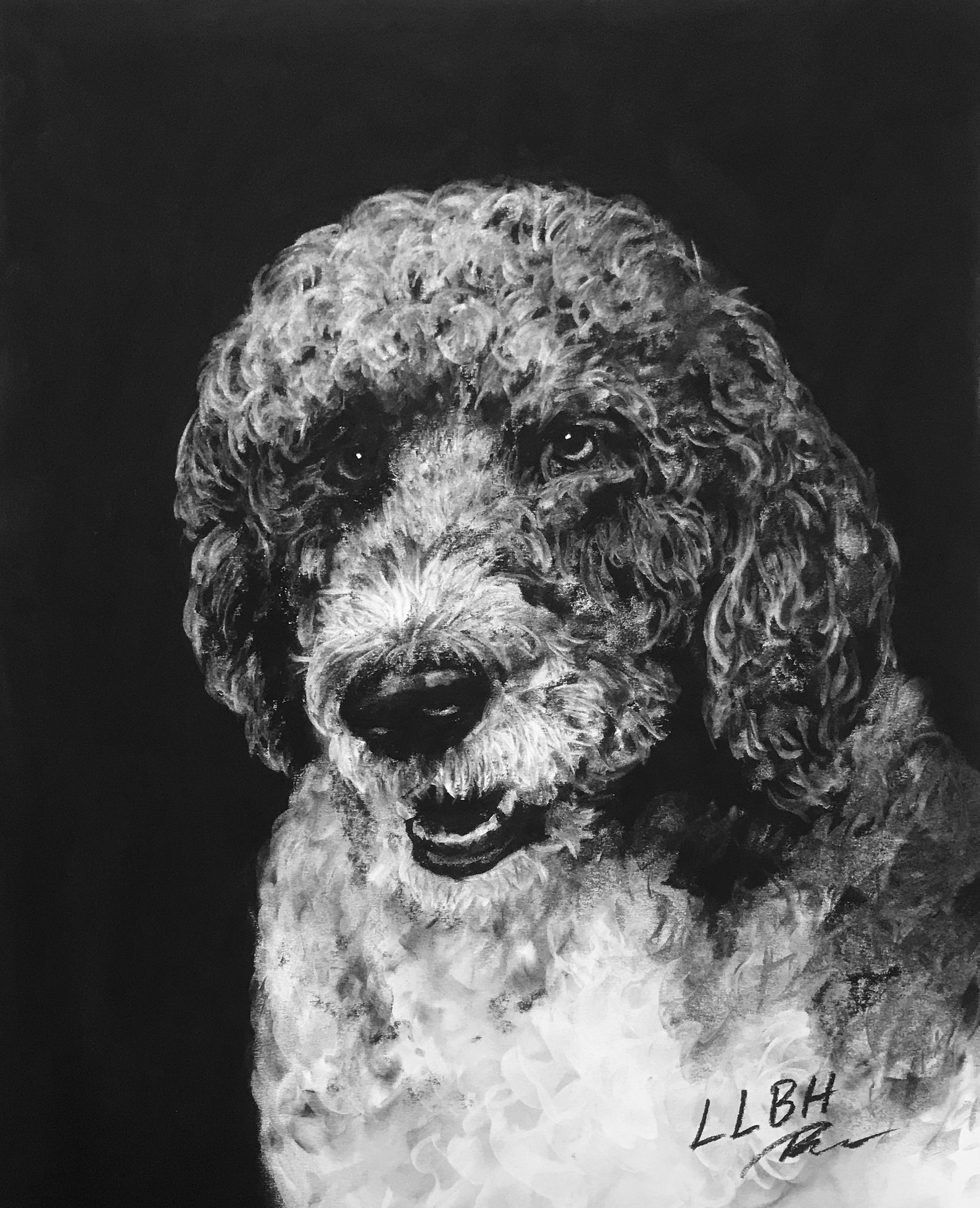 Pure Black Background for Charcoal Portrait ***add-on Only*** - Etsy